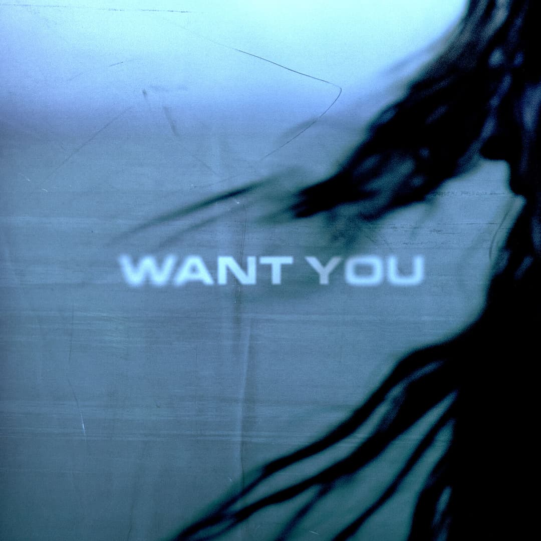 Lyrics | Clara La San | Want You