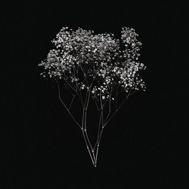 Lyrics | Album | YALAN DÜNYA